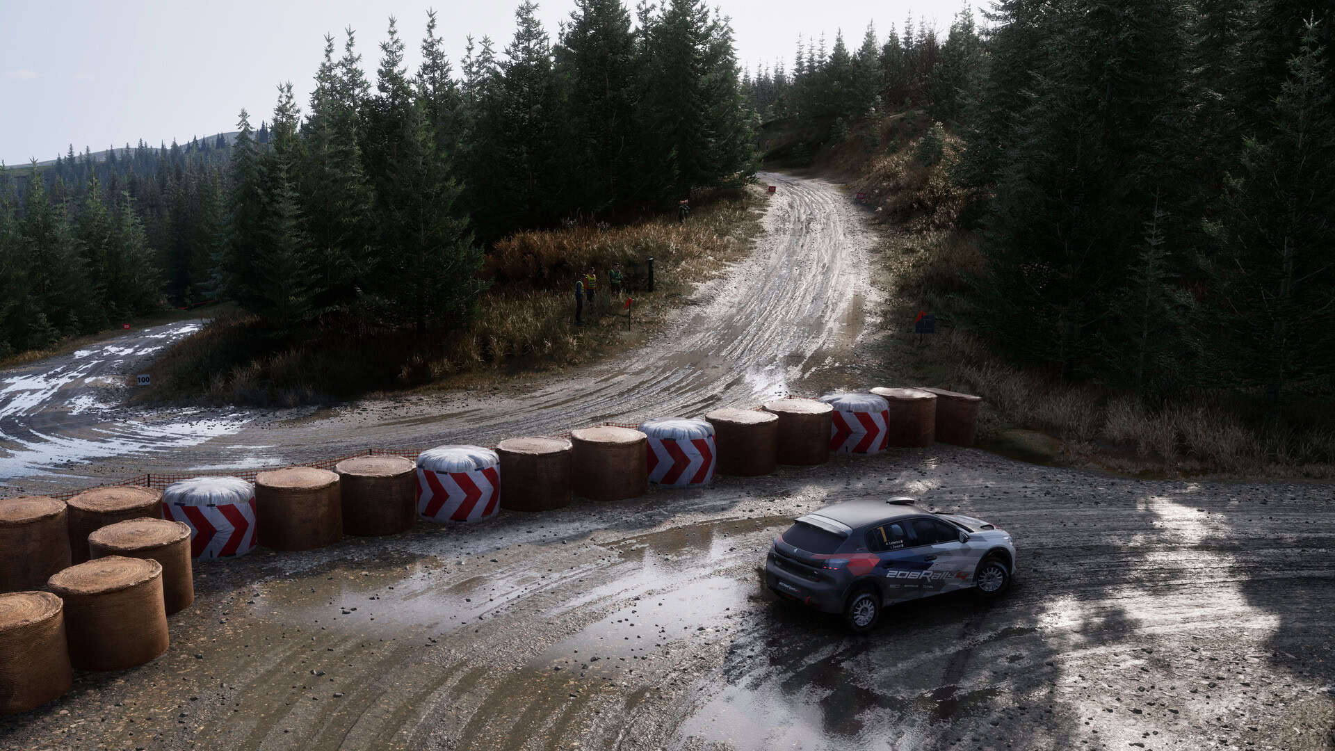 Assetto Corsa Rally Early Access - Everything You Need To Know - DRIFTED